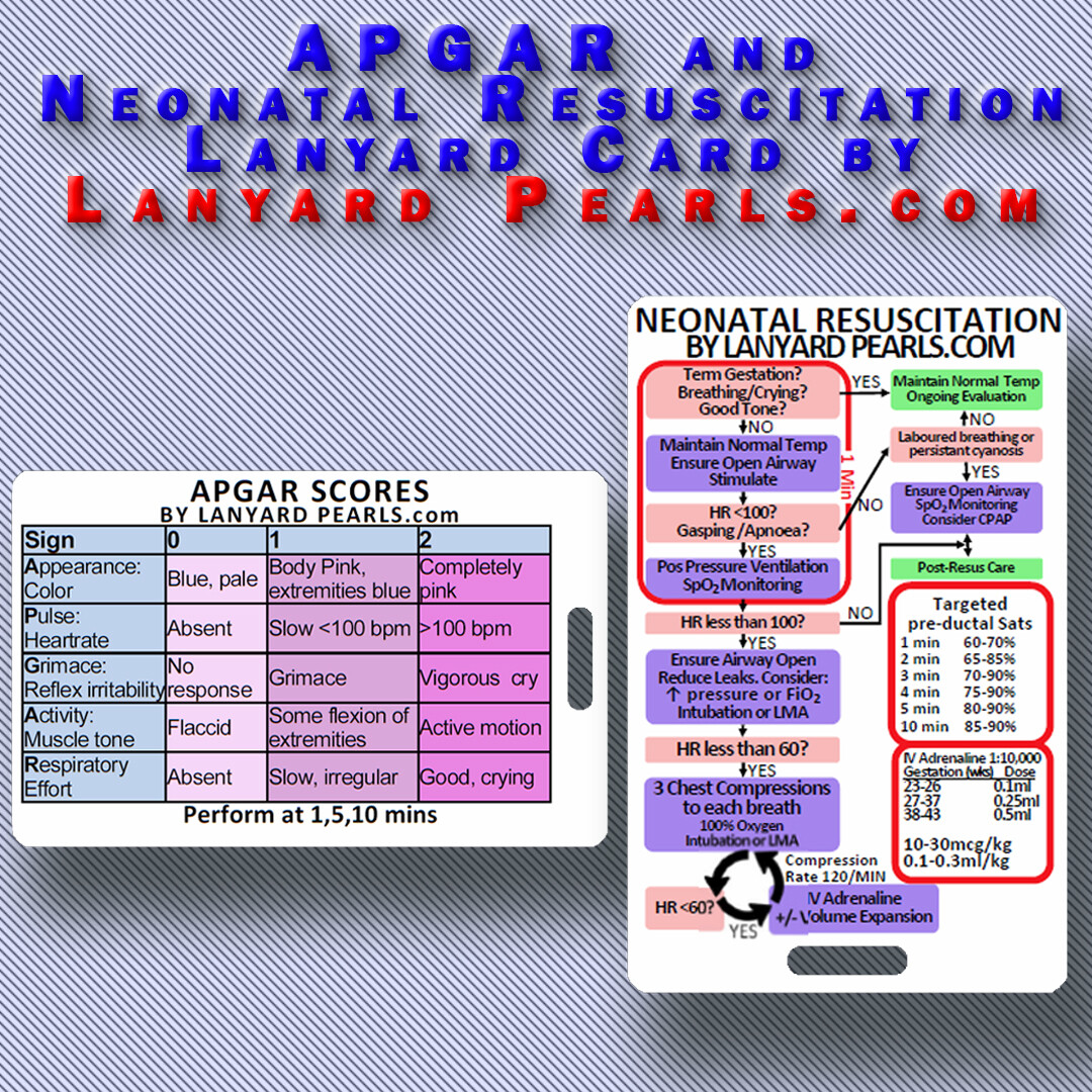 APGAR Score + Neonatal Resus Algorithm Lanyard Card