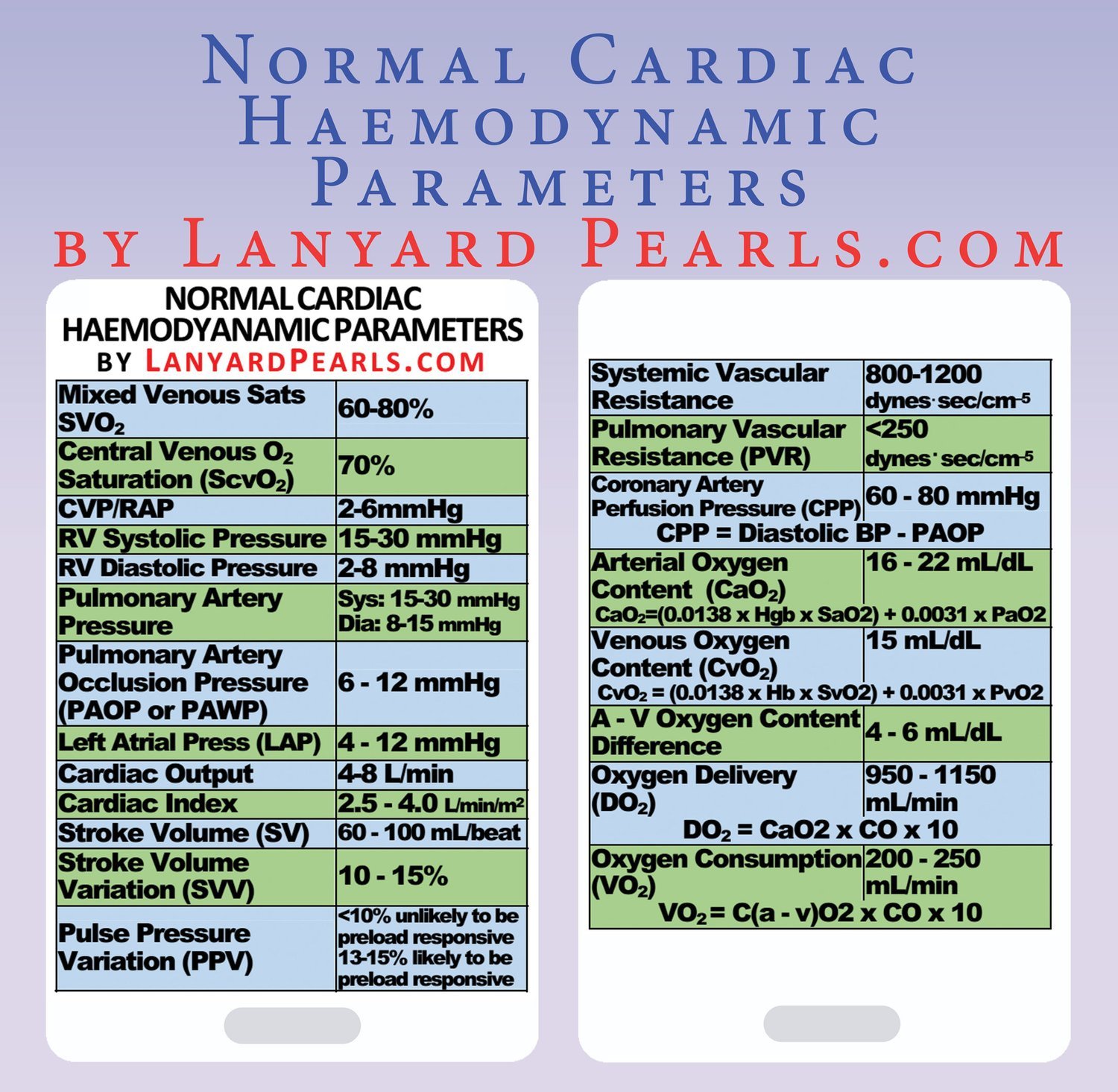 Normal Cardiac Haemodynamic Parameters Lanyard Card