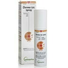 Derma Gel Spray
