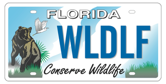Buy Florida Specialty License Plates - Broward Tag and Title: Tag ...