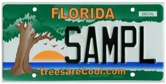 Buy Florida Specialty License Plates - Broward Tag and Title: Tag ...