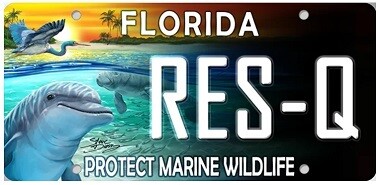 Specialty License Plates