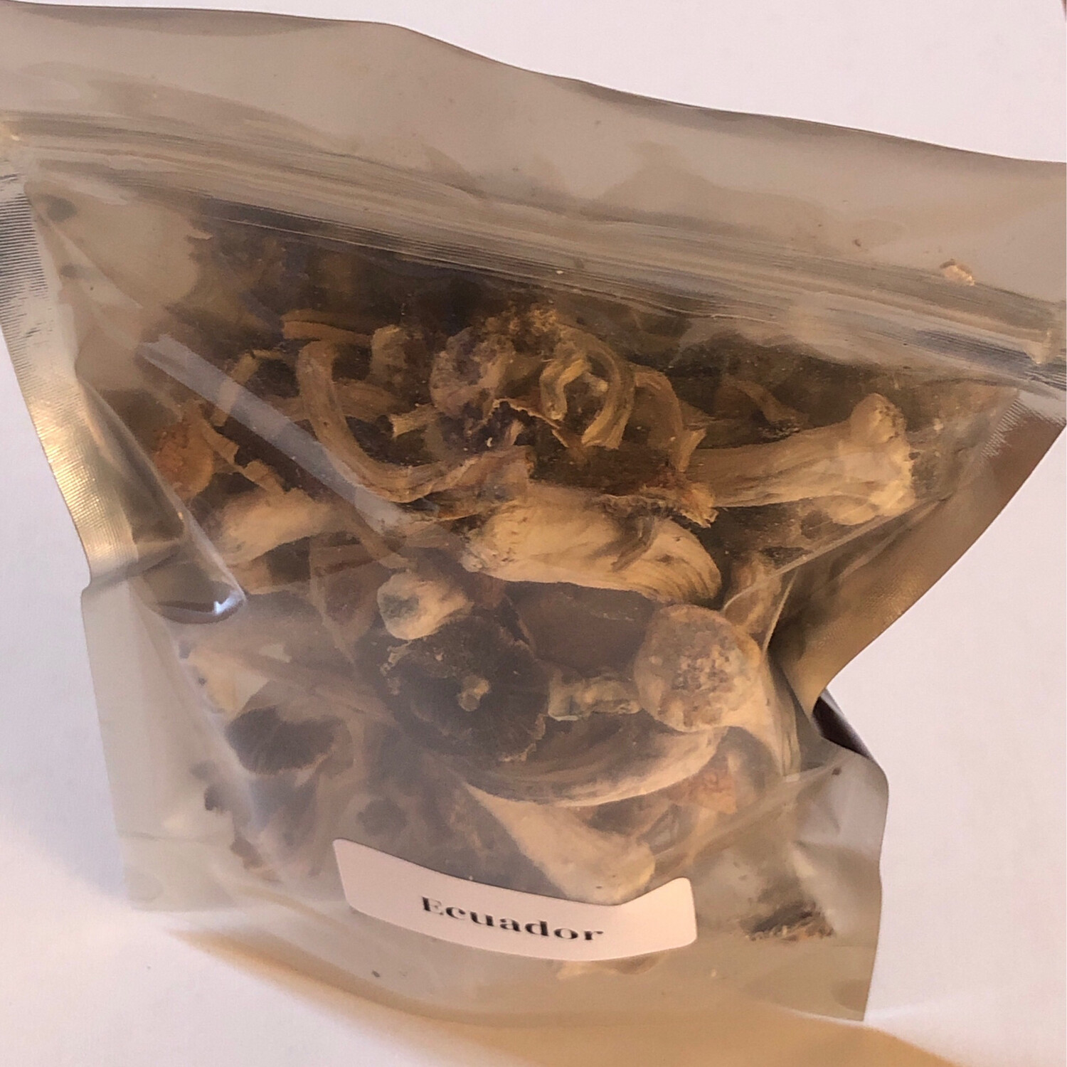 Psilocybin Magic Mushrooms Ecuador 28g Ounce