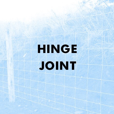 Hinge Joint