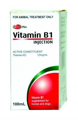 Value Plus Vitamin B1 Injection 100ml