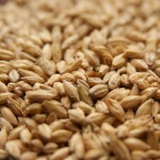 2-Row Malt