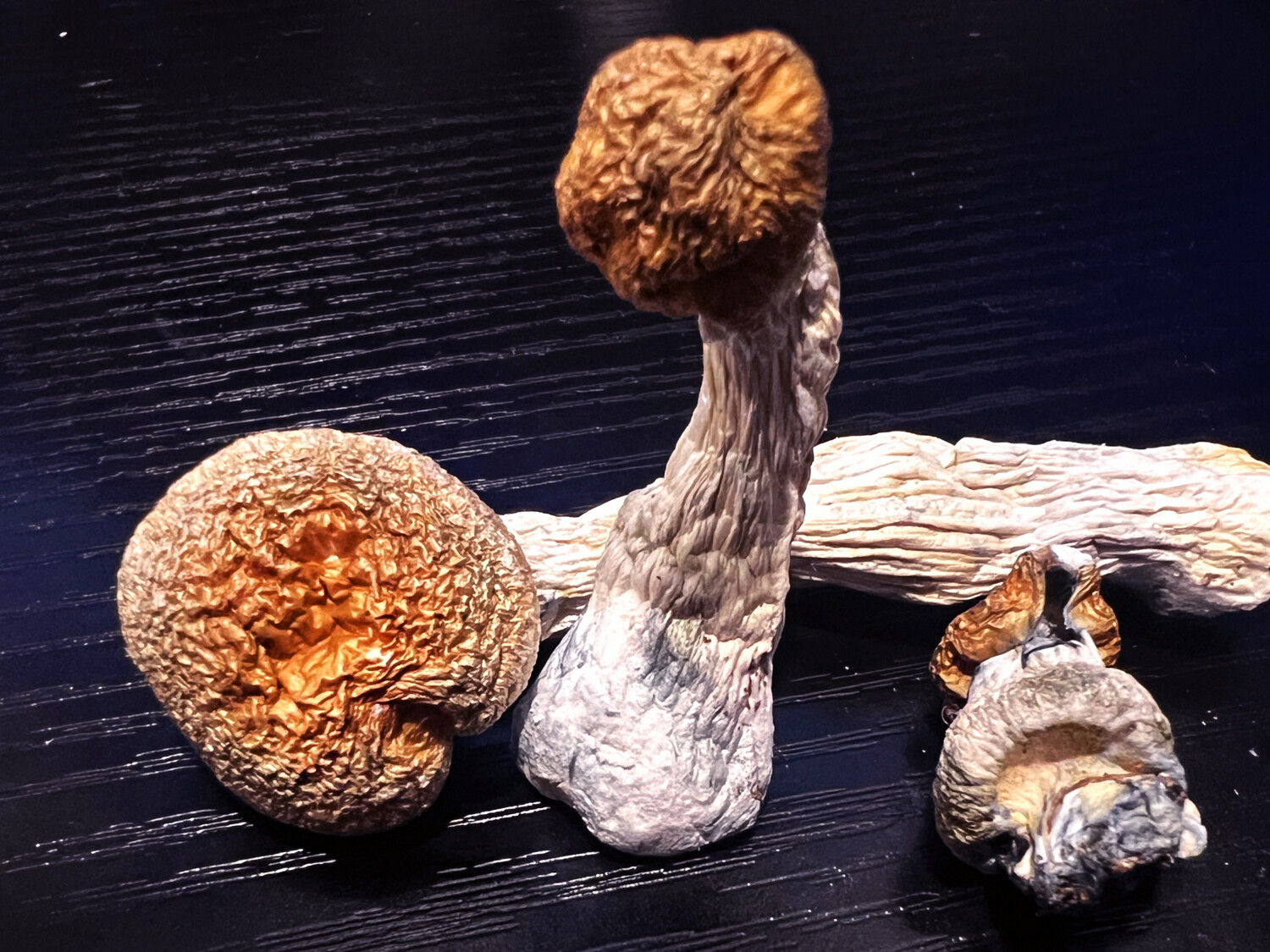 Hillbilly Pumpkin Mushrooms