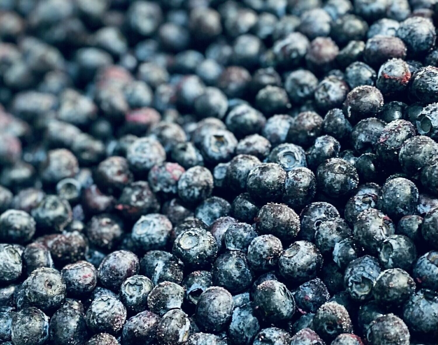BLUEBERRY CULTIVATED IQF 30 LB