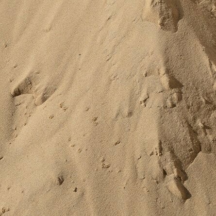 Fine Washed Uni Sand | Waratah Supplies | Shop Online for Delivery and ...