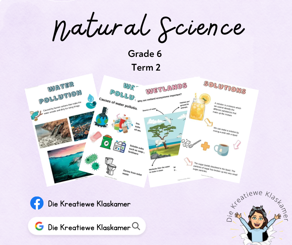 Natural Science Grade 6 Term 2 Posters
