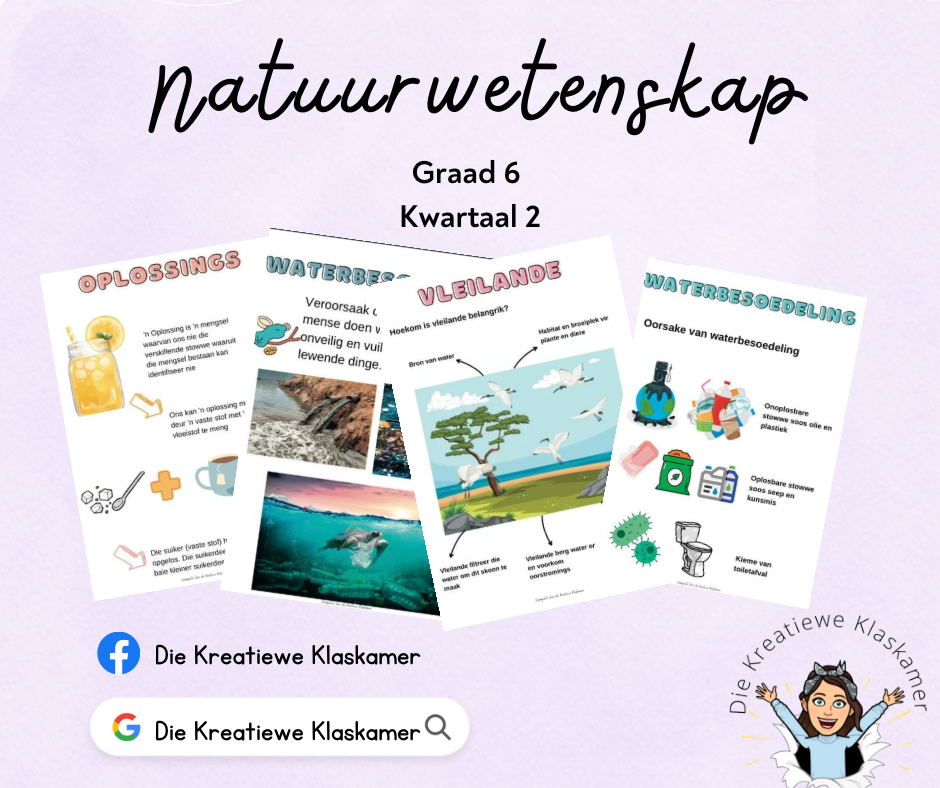 Natuurwetenskap Graad 6 Kwartaal 2 Plakkte