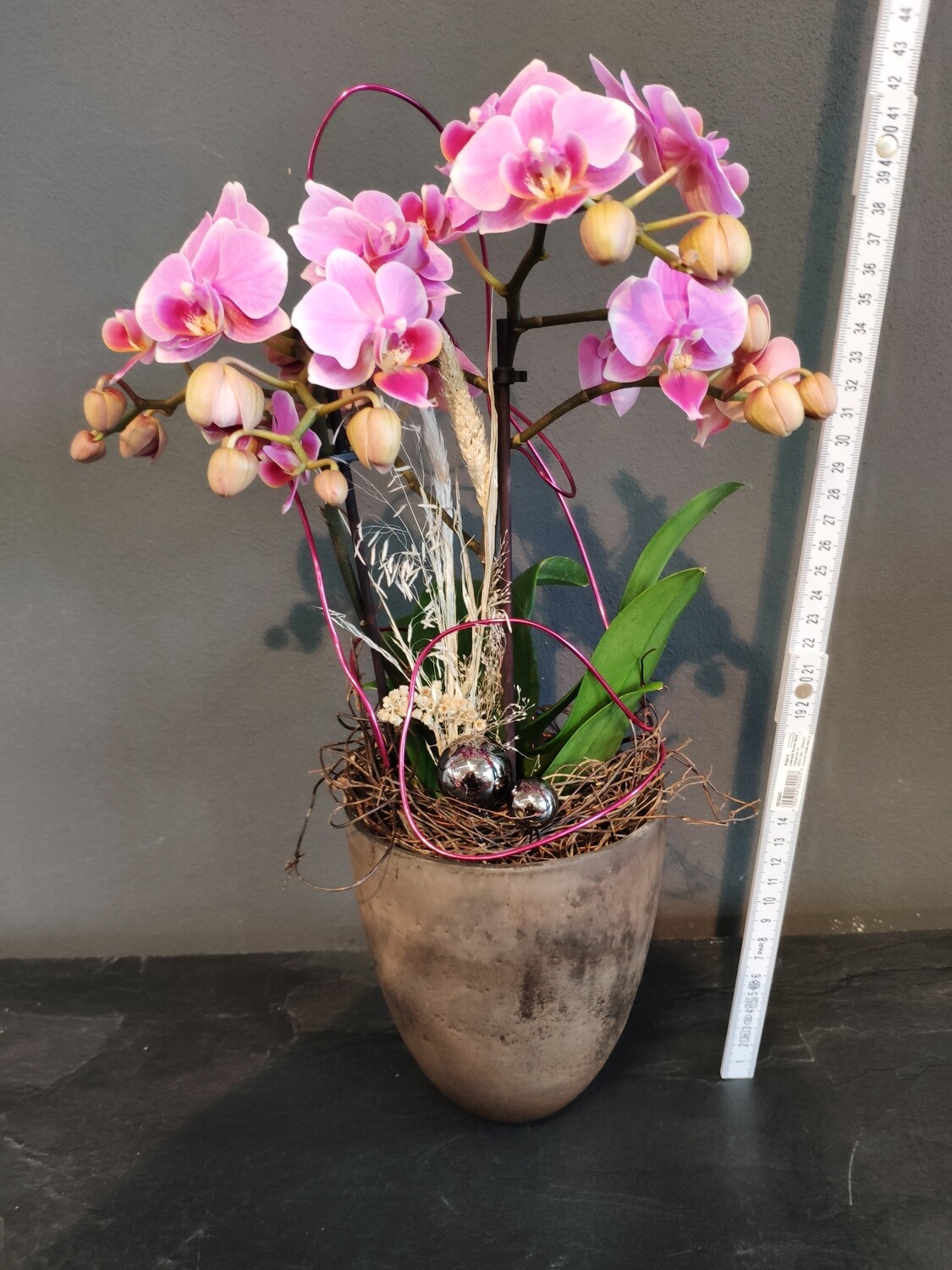 Orchidee dekoriert "kompakt" - Shop - Blumen und Pflanzen kaufen in ...