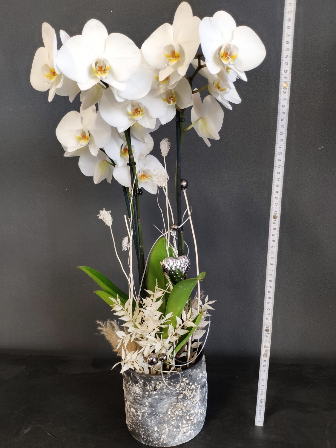 Orchidee dekoriert "Exklusiv" | Shop - Blumen und Pflanzen kaufen in ...