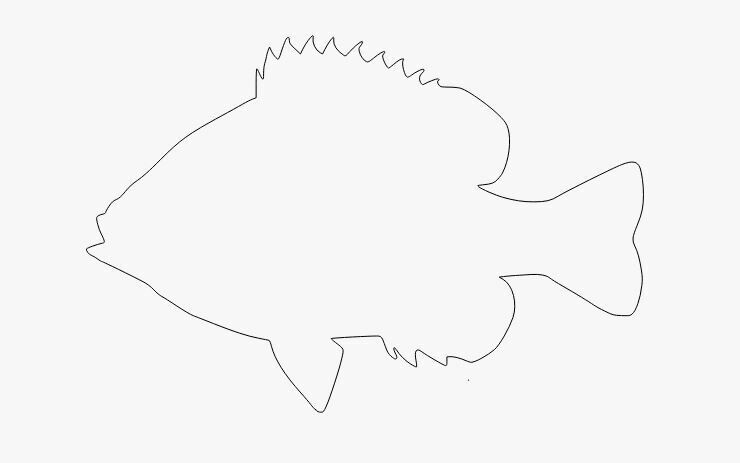 Sun Fish Shape