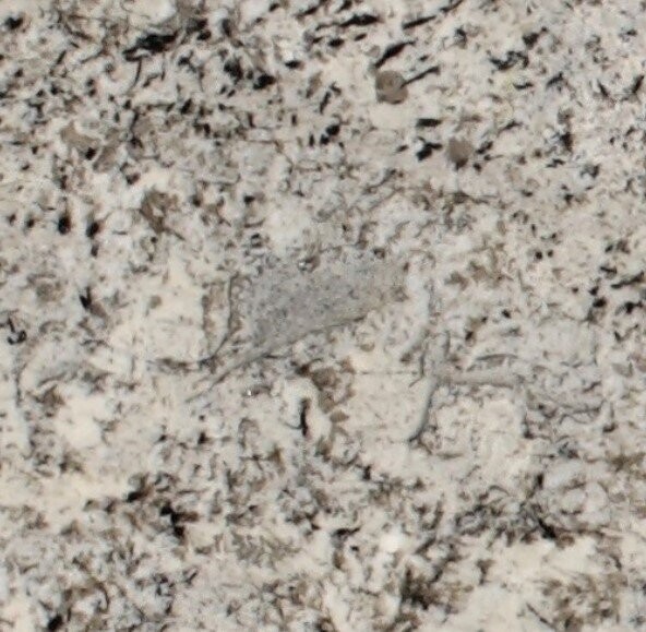 Blue Nile - Granite Level 2
