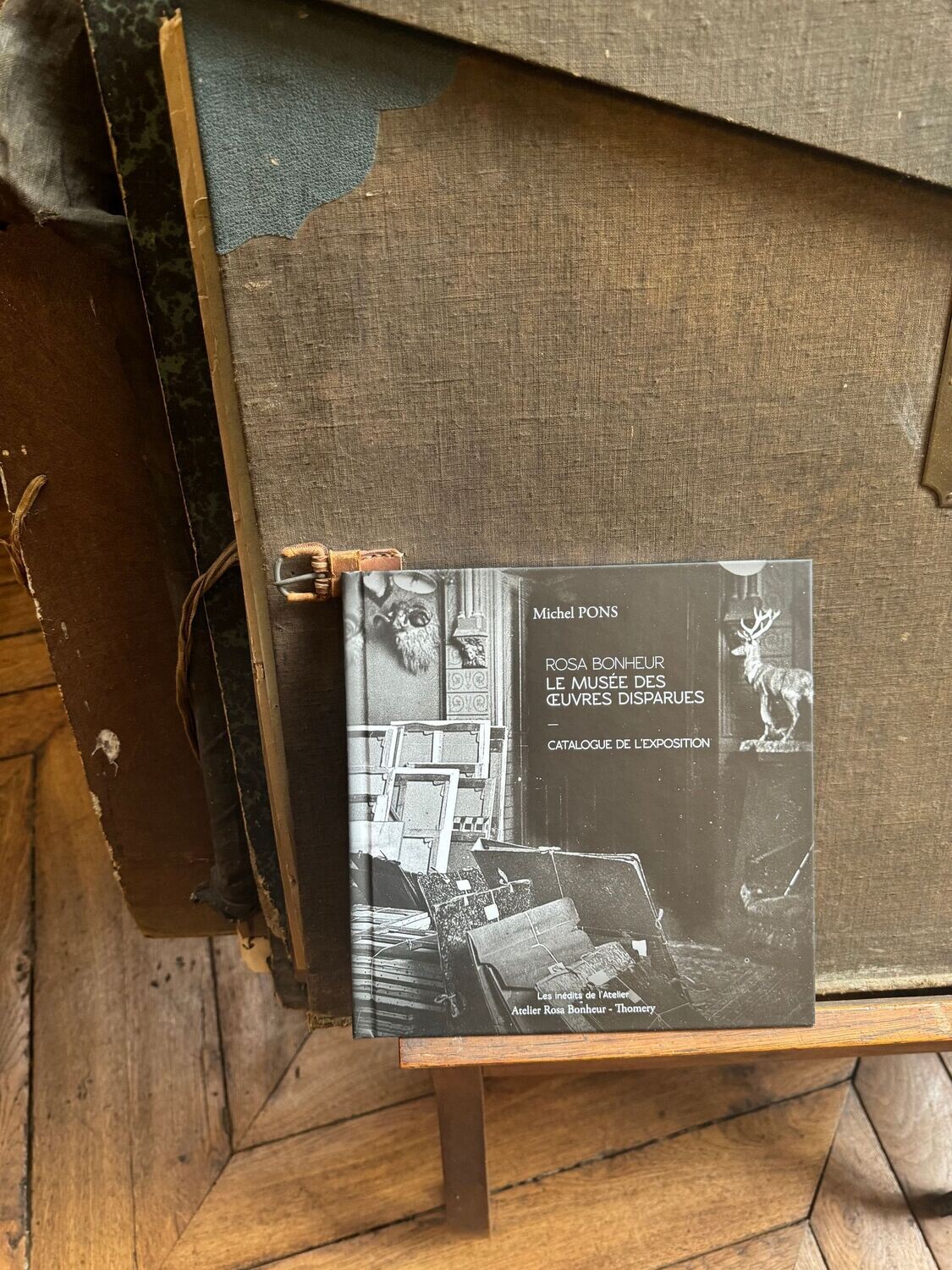 LIVRE - MICHEL PONS - ROSA BONHEUR - LE MUSÉE DES EUVRES DISPARUES ...