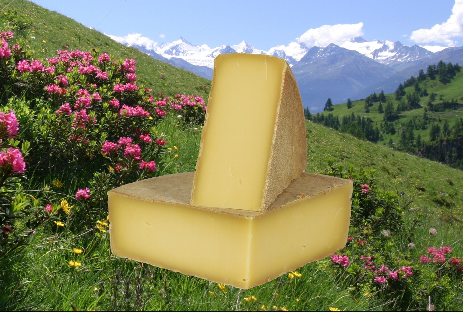 Valais Alpage Jeur-Loz