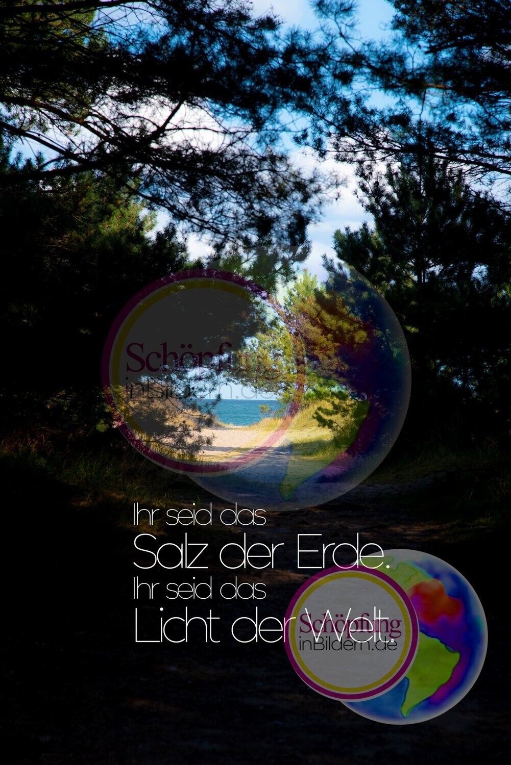 Ihr seid das Salz der Erde, ihr seid das Licht der Welt