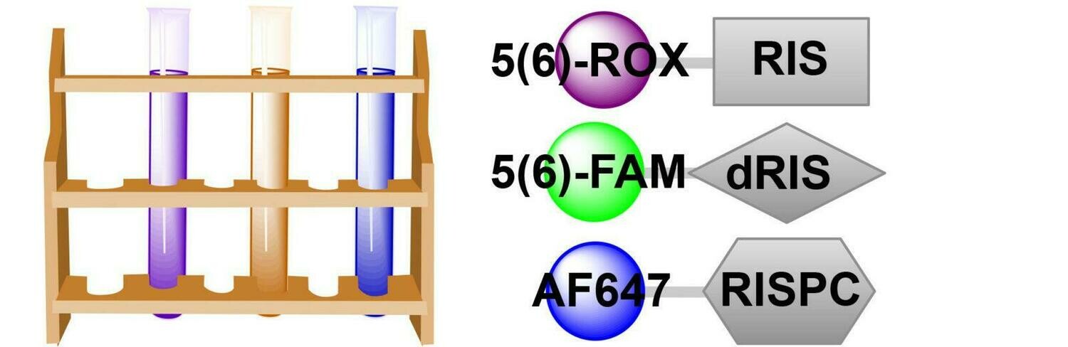 Three-Probe Bone Affinity Sampler – Store – Bone Targeted Therapeutics ...