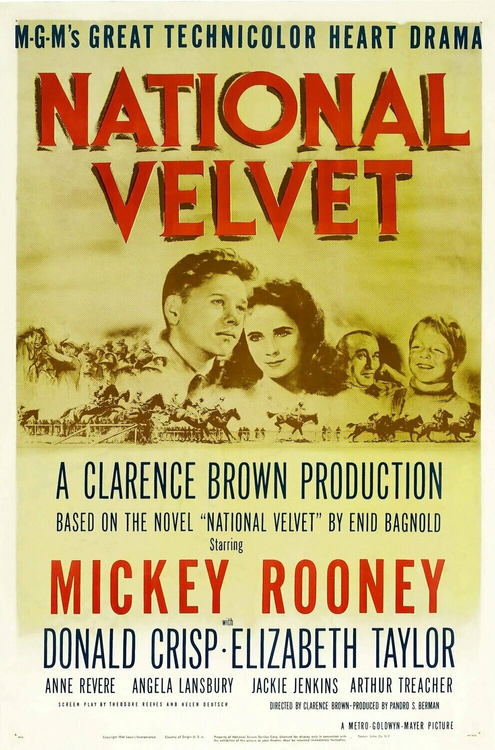 National Velvet DVD - (1944) - Elizabeth Taylor