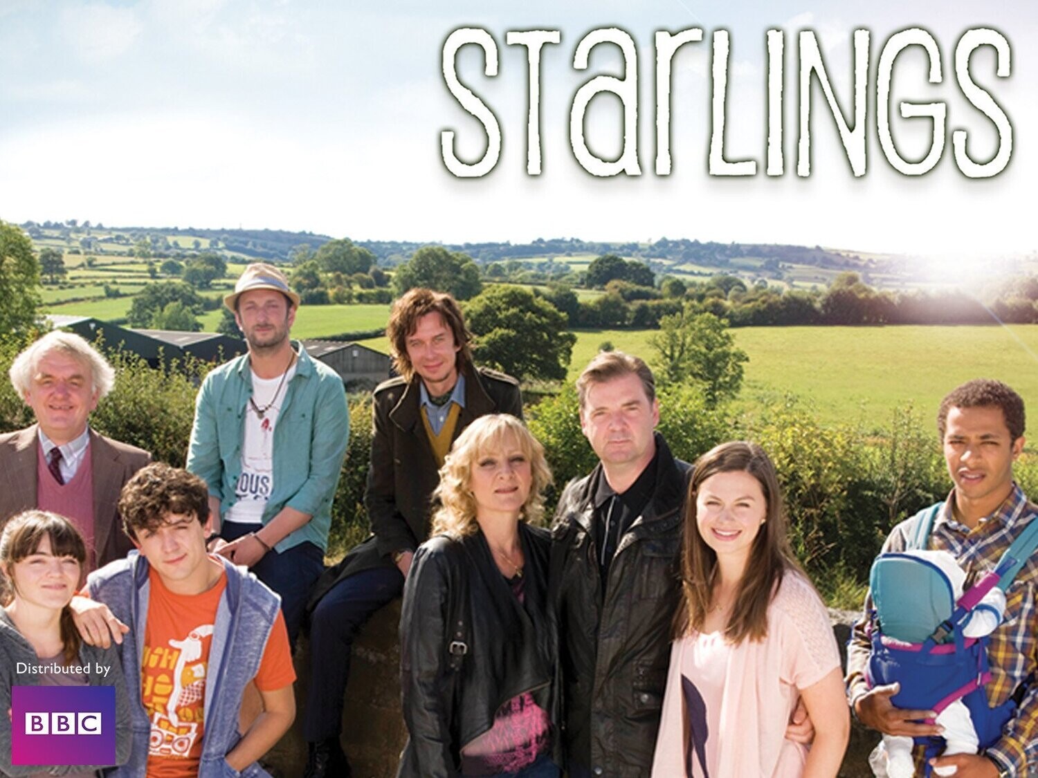 Starlings Complete Series DVD - (2012) - Brendan Coyle, Lesley Sharp ...