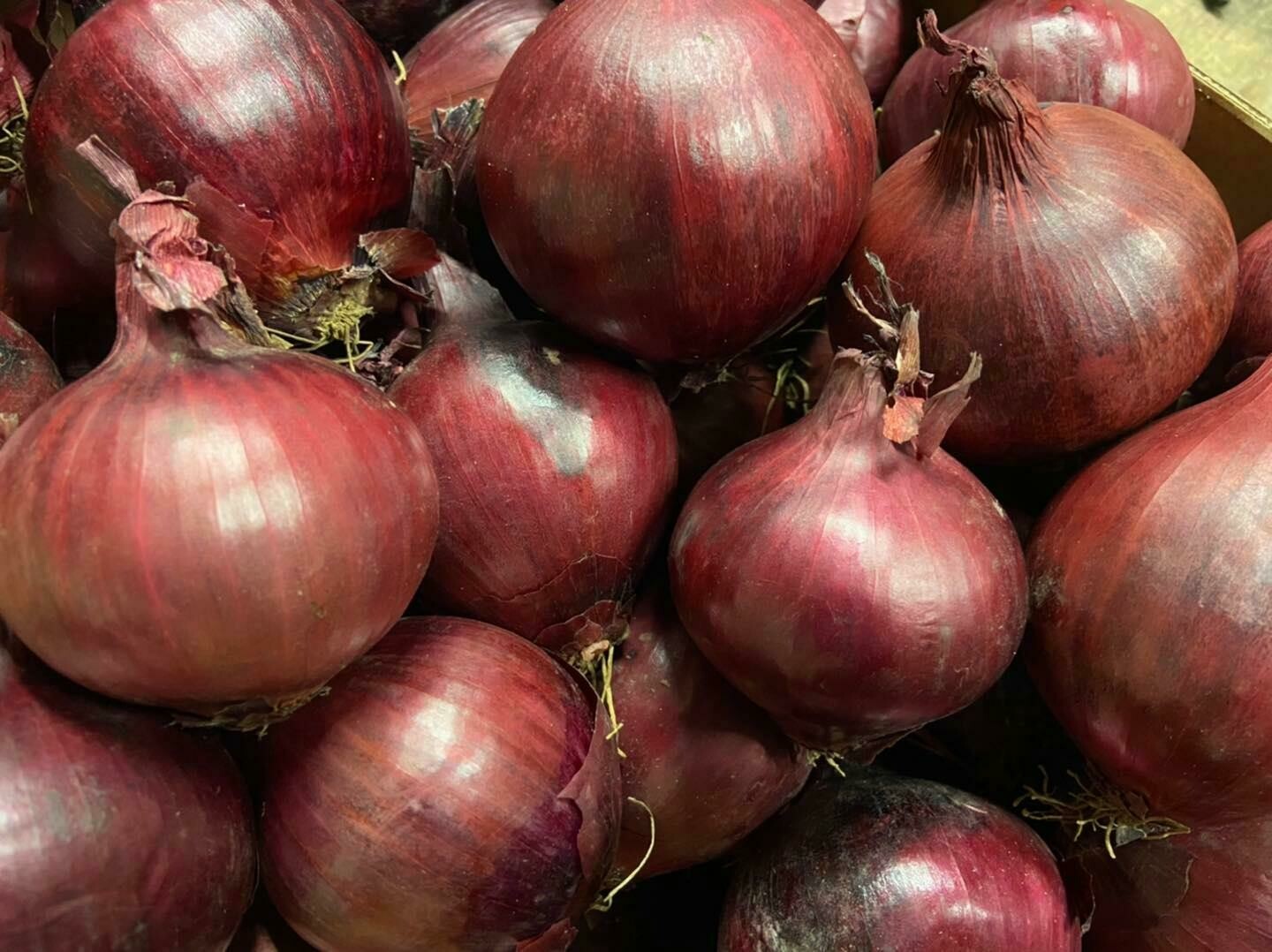 Onions (Loose)