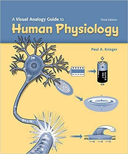 A Visual Analogy Guide to Human Physiology