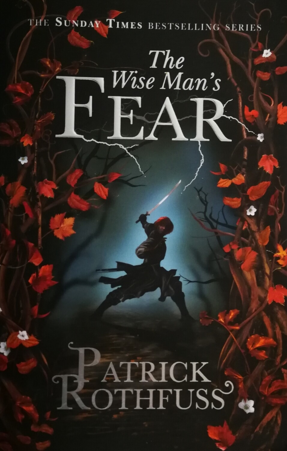 The Wise Man's Fear by Patrick Rothfuss