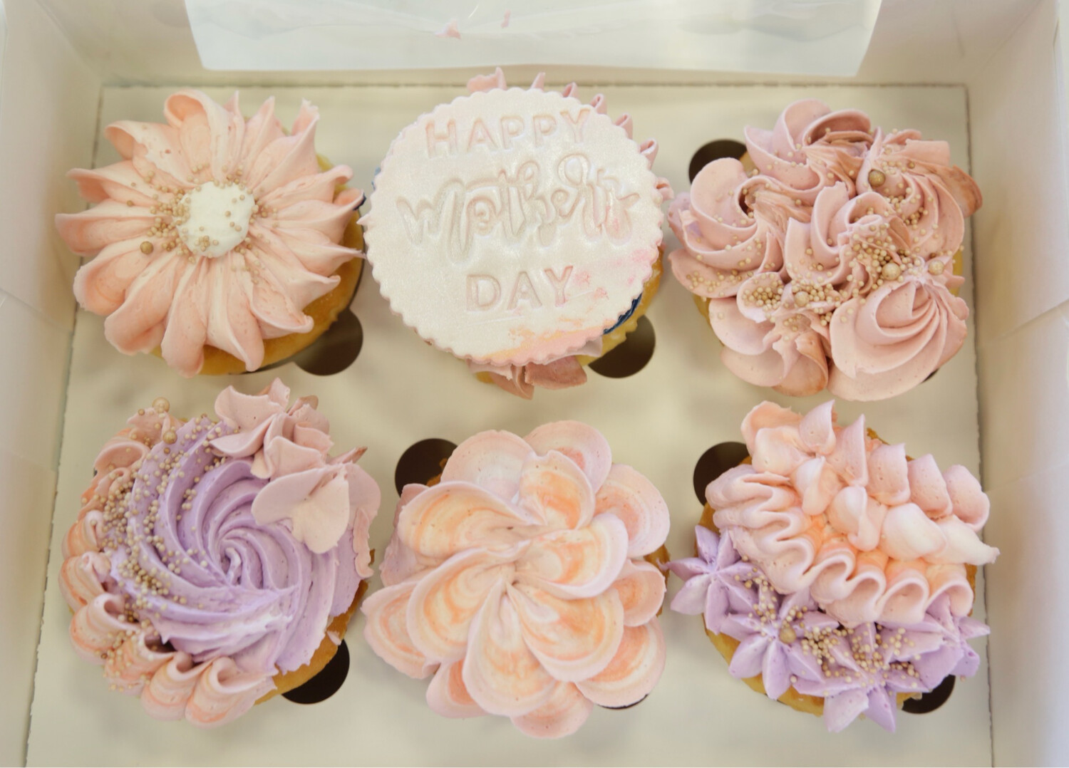 Celebration Cupcake Pack