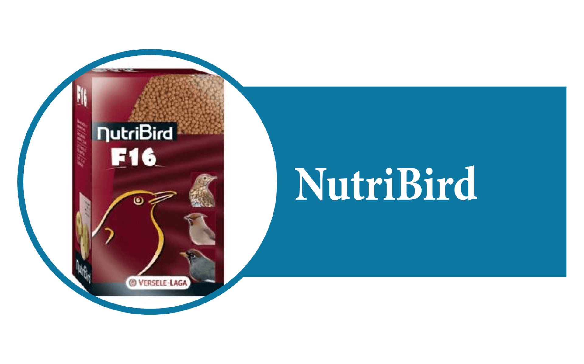 NutriBird