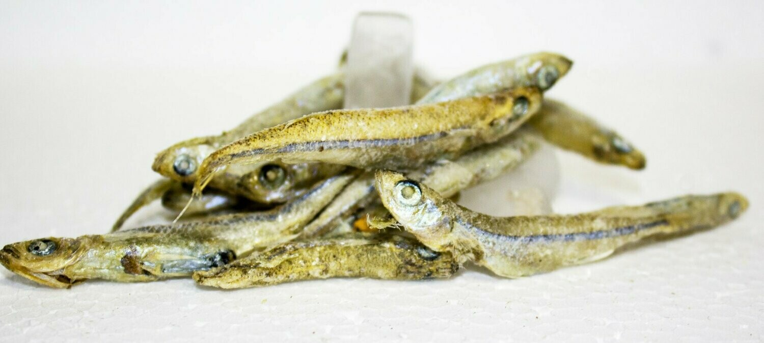 Stinte 1 kg gefroren