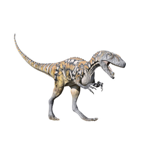 Australovenator | Lifesize Models