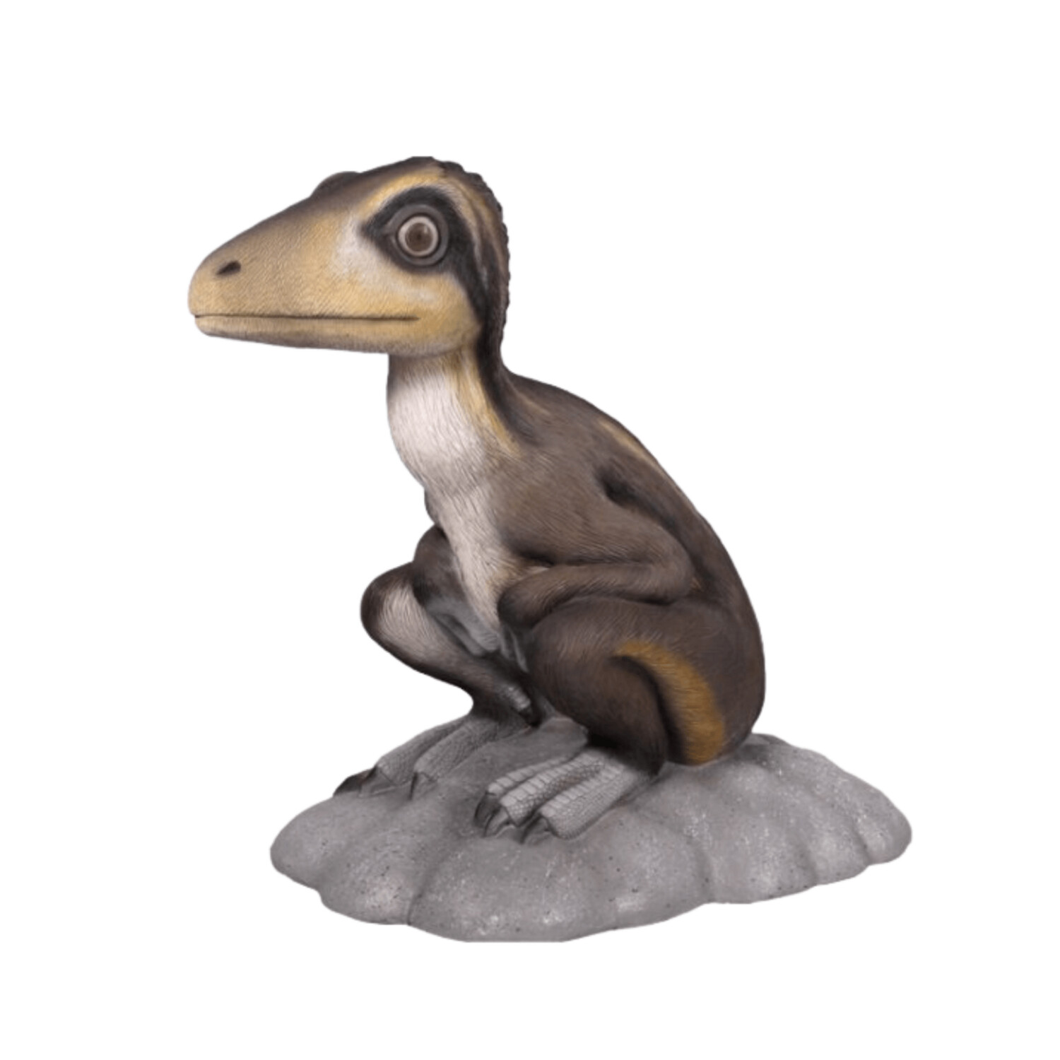 Juvenile Theropod Sitting