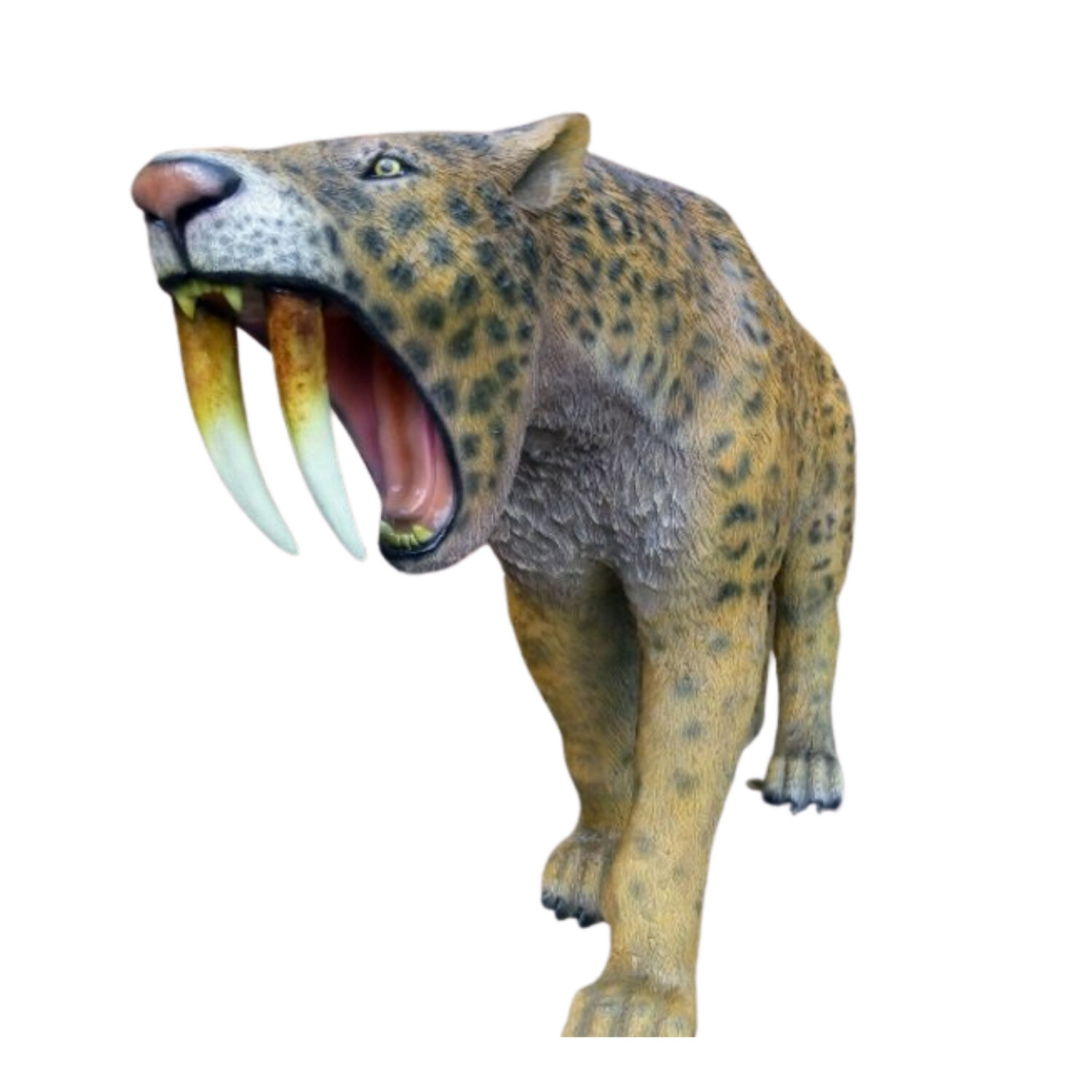 Smilodon Sabre Tooth Cat