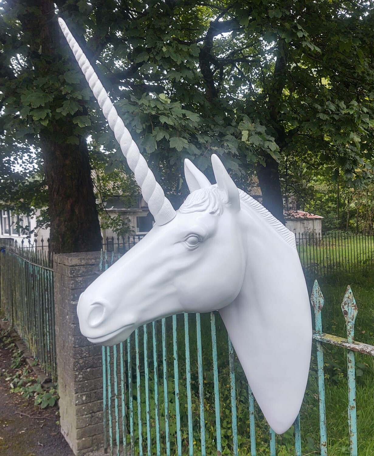 Unicorn Head