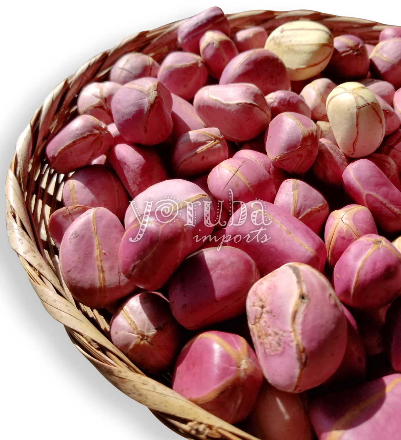 Fresh Obi Abata in Stock - Kola Nuts for Sale