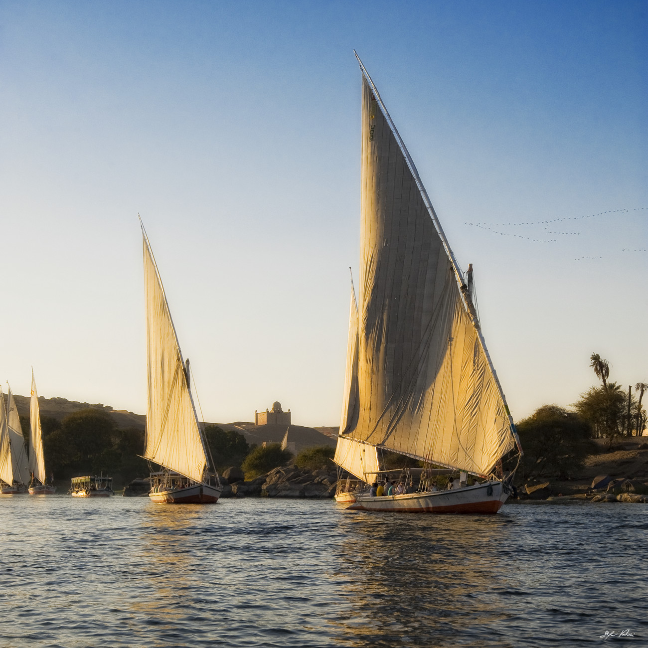 Feluca on the Nile - Aswan - Egypt