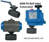 6000 PSI Ball Valve