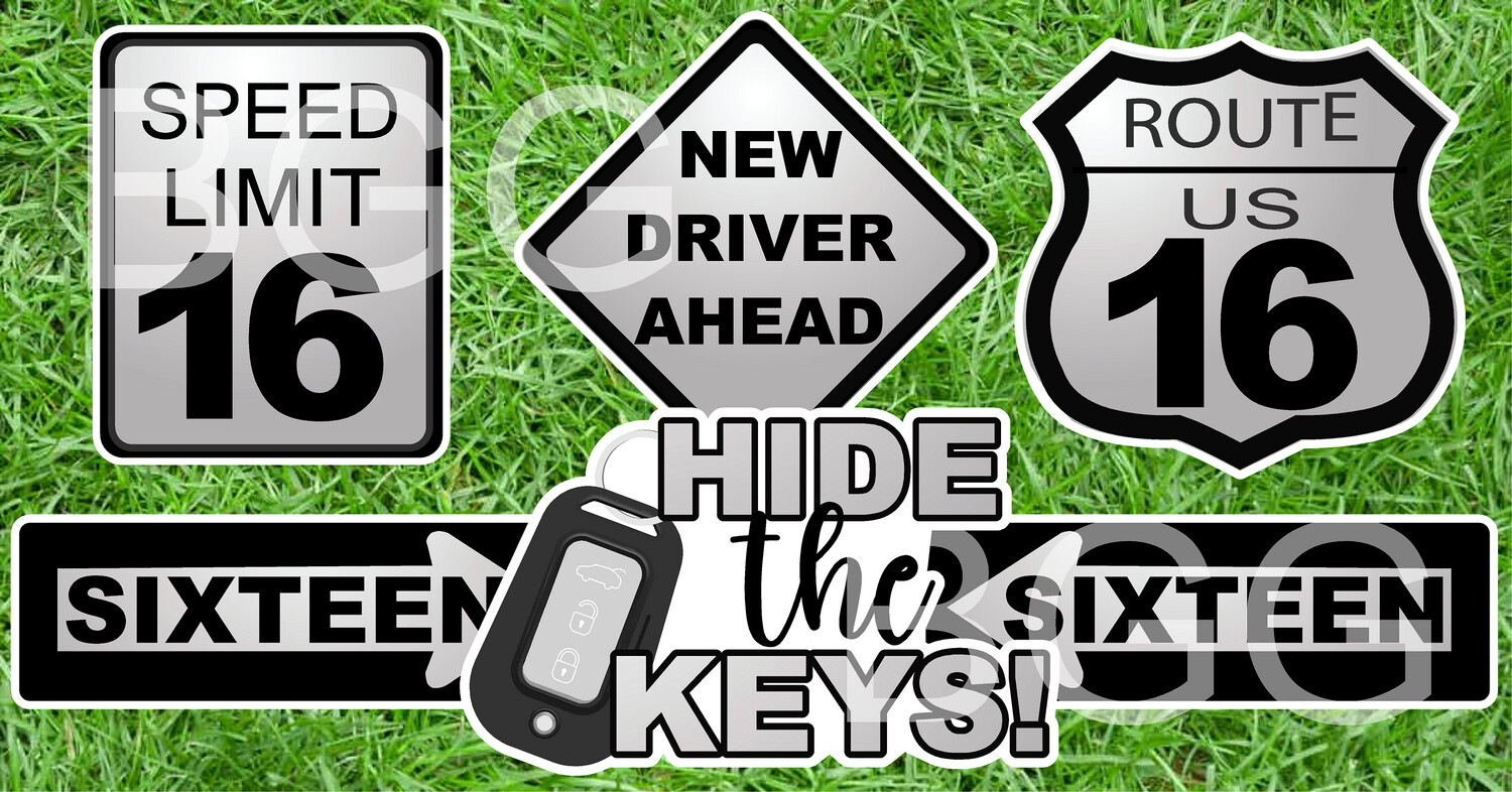 Sweet 16 Street Signs - Store - Bluegrass Greetings & Co.