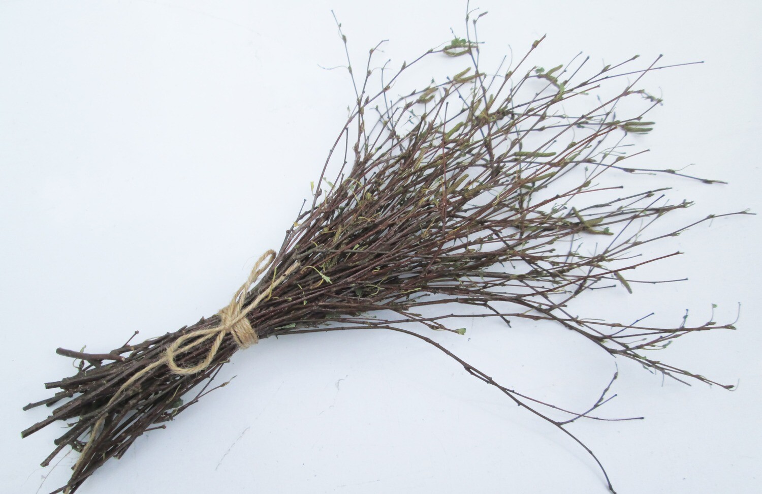 Small Natural Eco Fresh Birch Branch Bundle Bunch Birch Branches ...