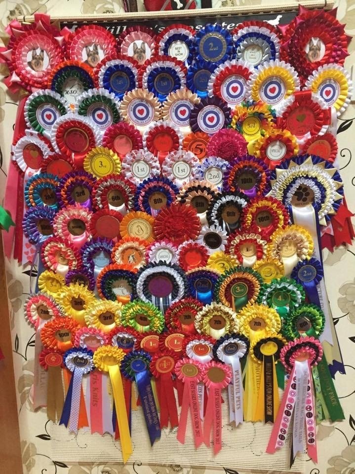 Giant Rosette Holder ideal way to Display Your Rosettes