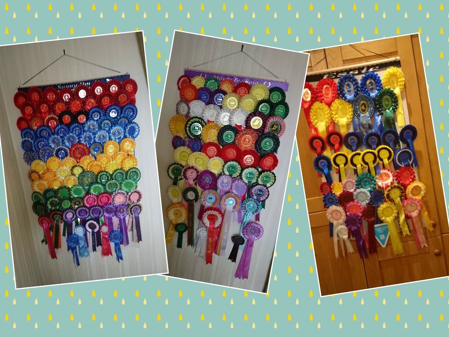 Extra Large Rosette Holder ideas Display Your Rosettes