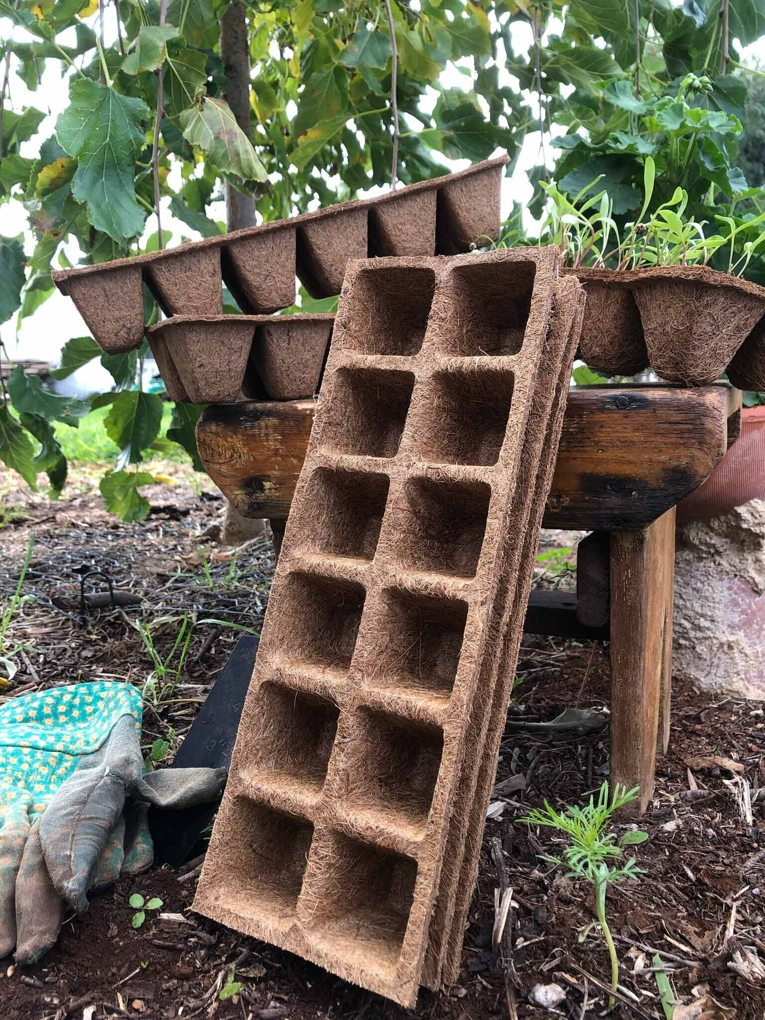 Seed Trays