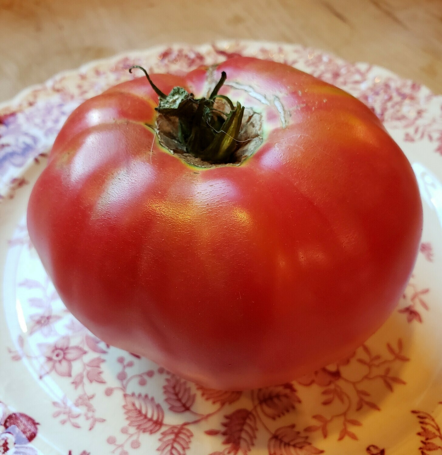 'Aussie Tomato'