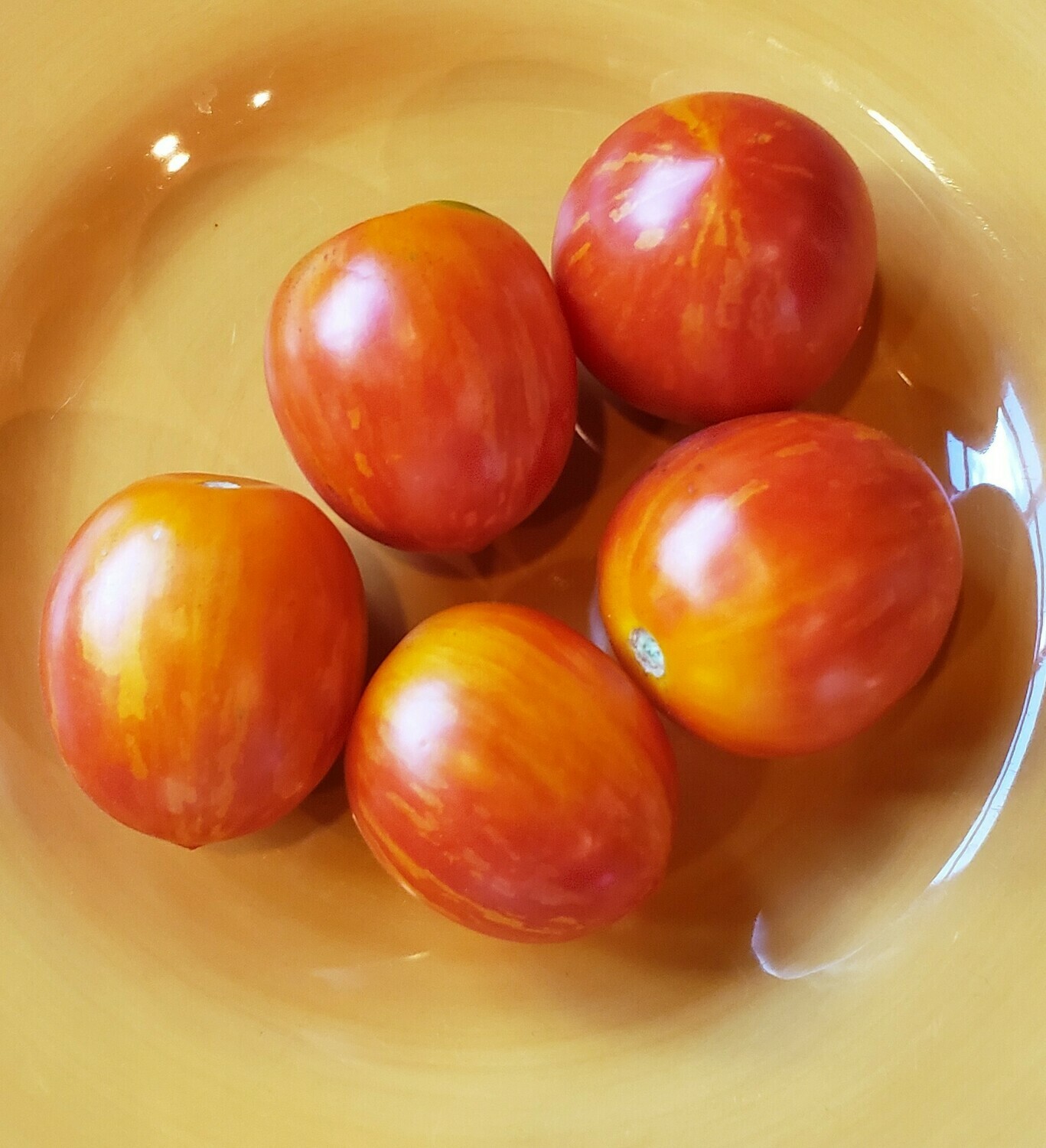 'Firecracker' Tomato