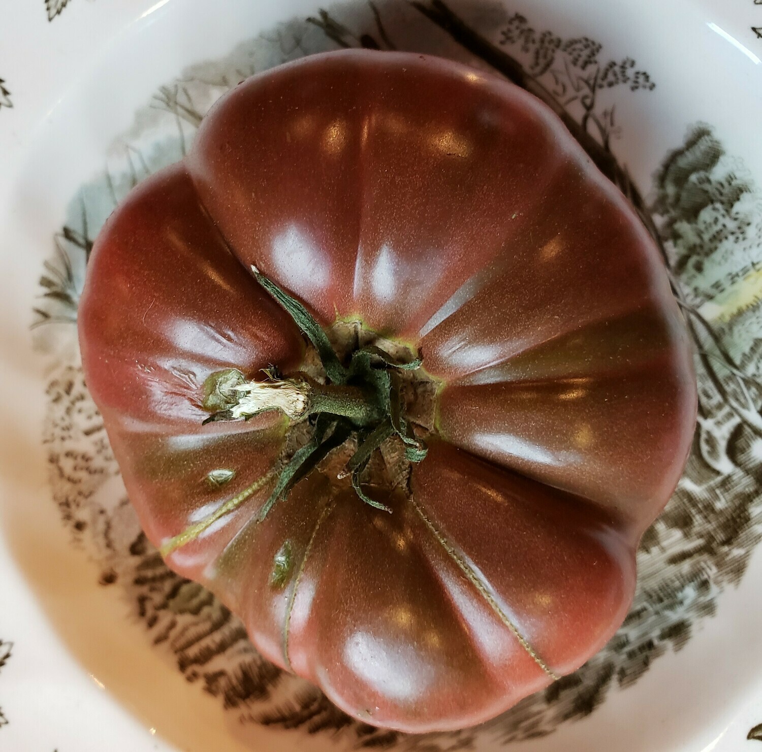 'Dwarf Brandy Fred' Tomato
