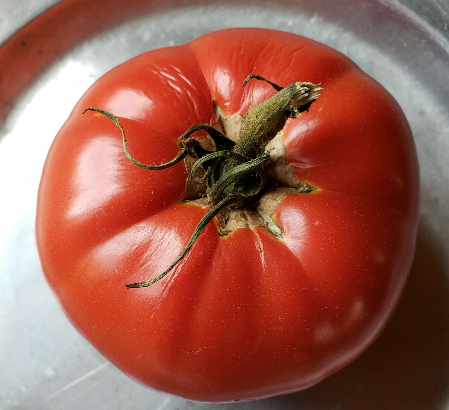 'Burpee Big Boy' Tomato