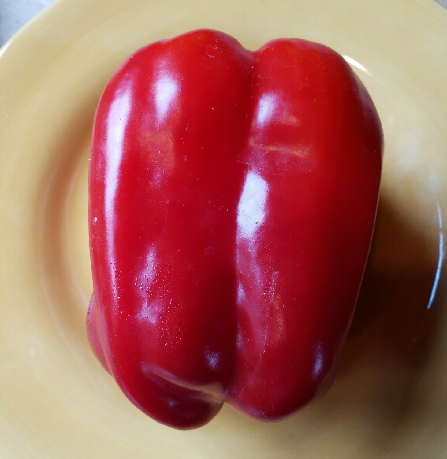 Red Bell Pepper