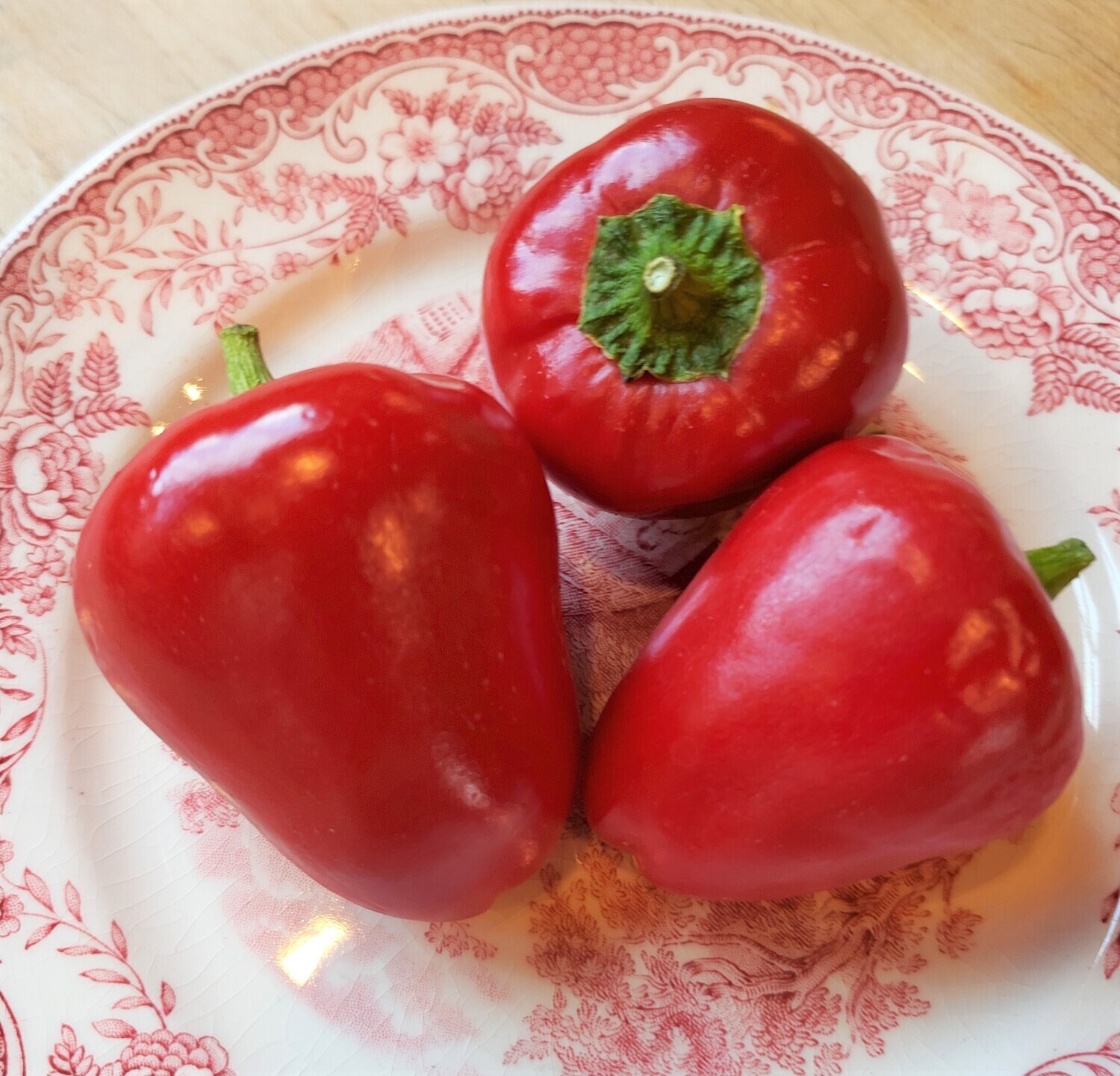 'Time Bomb Cherry' Pepper