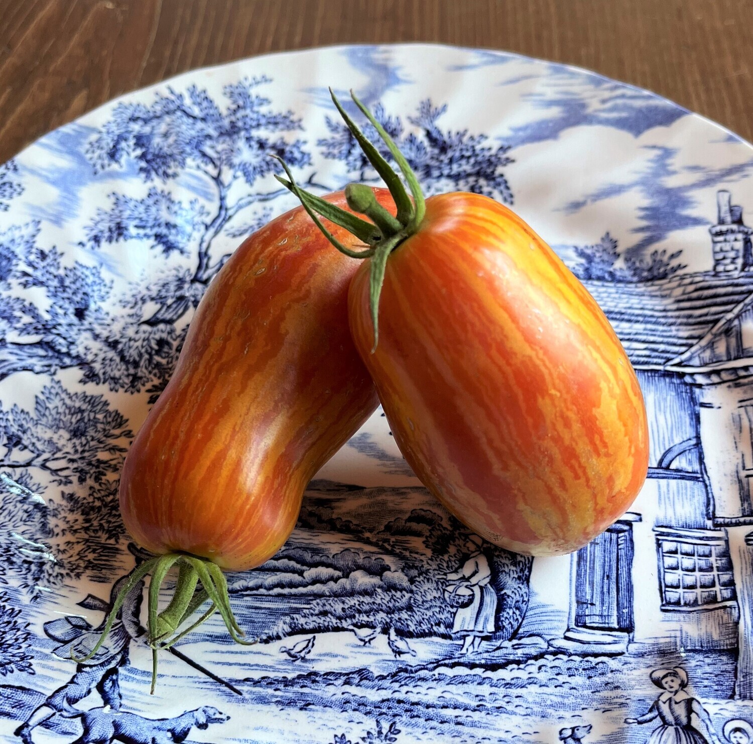 'Speckled Roman' Tomato